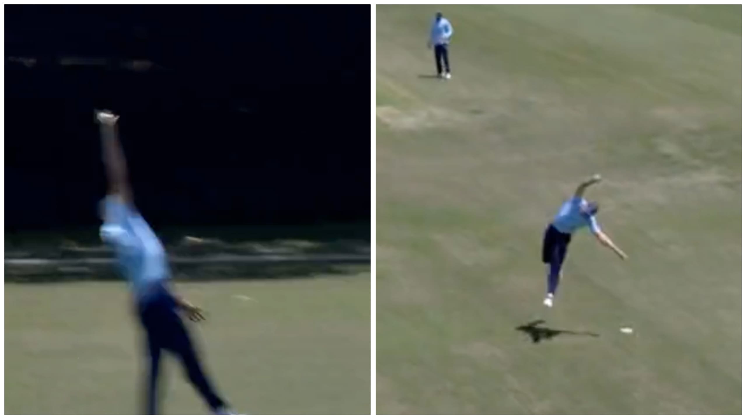 WATCH: NSW star takes STUNNING one-handed catch - allsprt