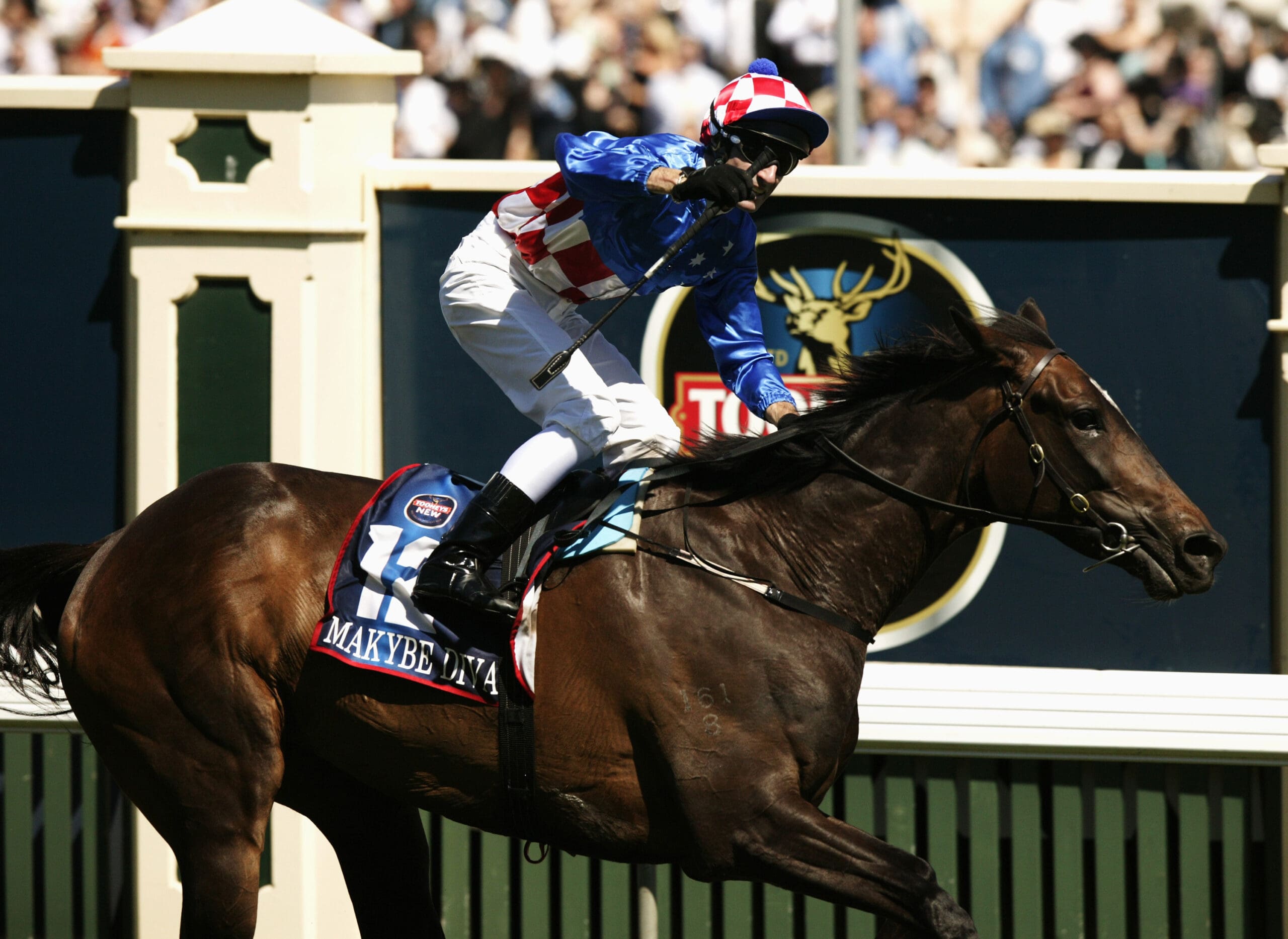 Every winner of the Australian Cup - allsprt