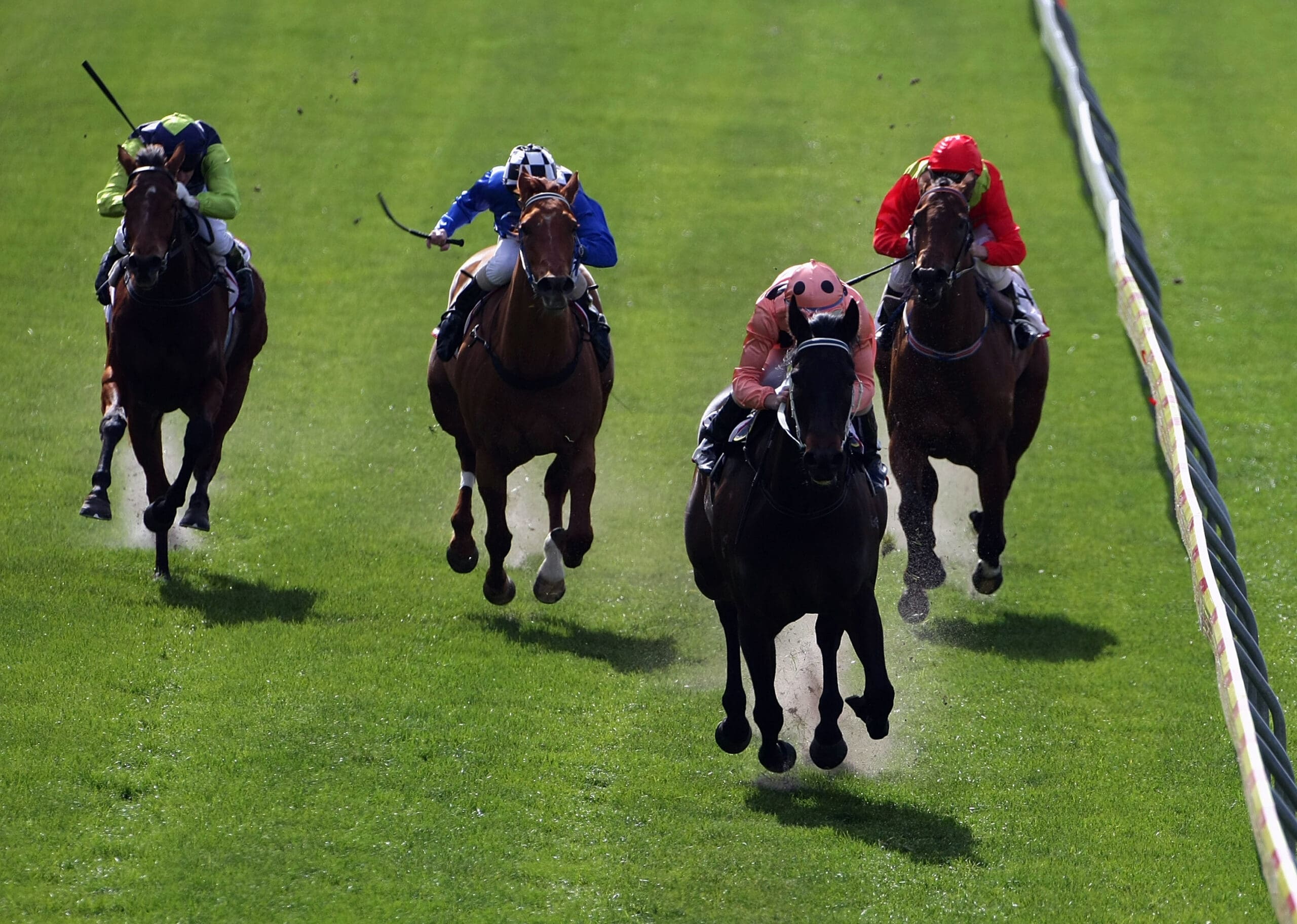 Black Caviar’s death has prompted uncomfortable questions about how ...